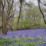 Student Life – Lboro Blogs