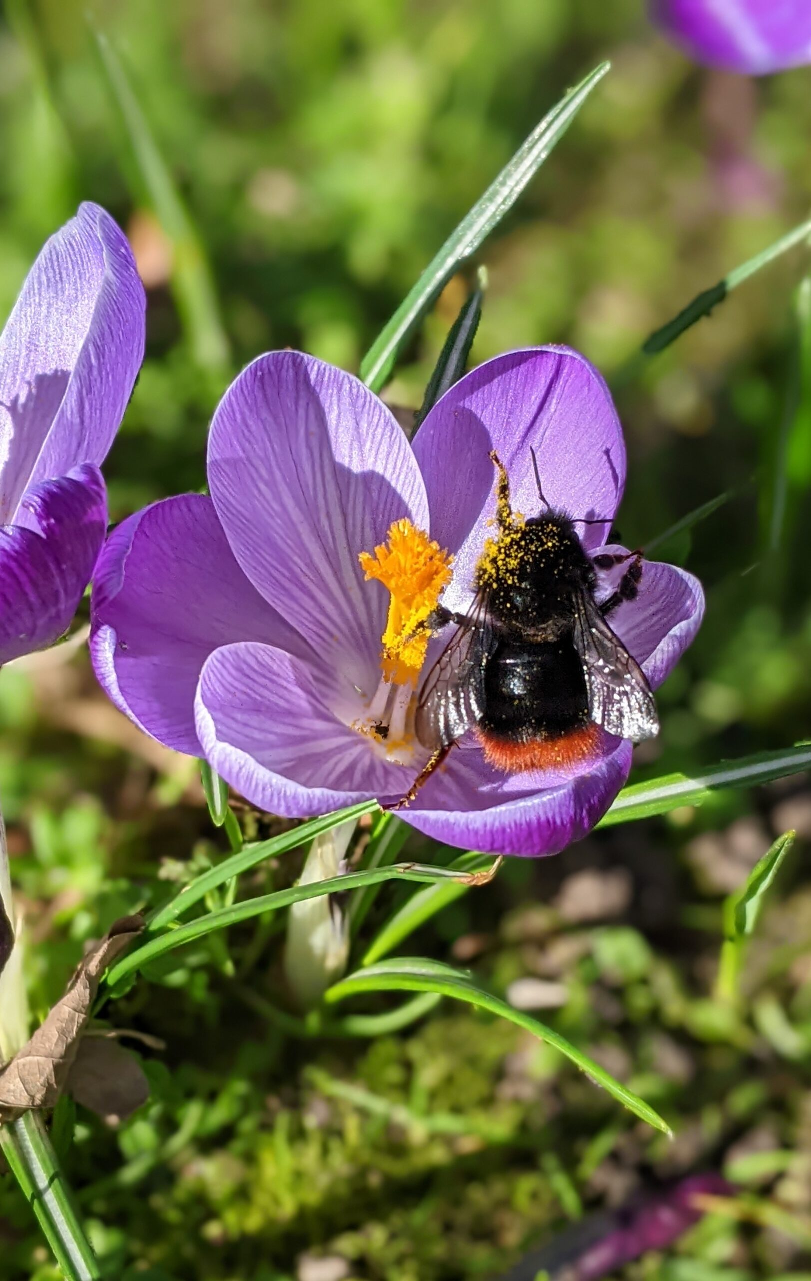 Sustainably Speaking – Lboro Blogs