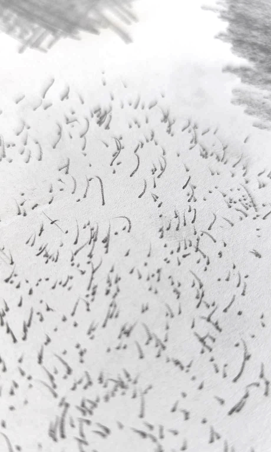 Blind Drawing Performance Anthi Kosma – DRAWING RESEARCH NETWORK